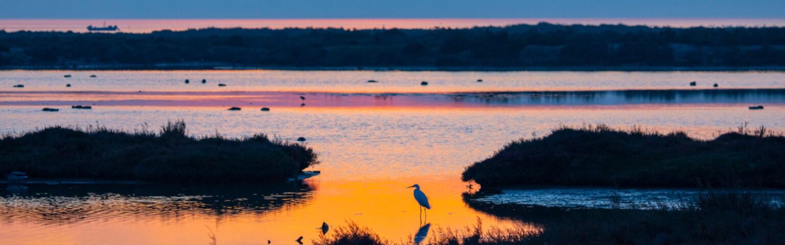 Delta del Ebro: Descubre el Parque Natural